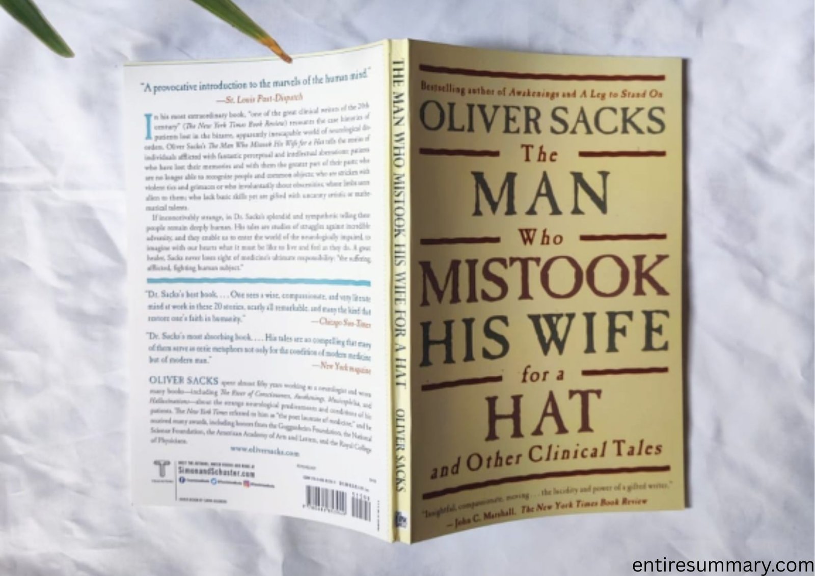 The Man Who Mistook His Wife for a Hat: Complete Summary